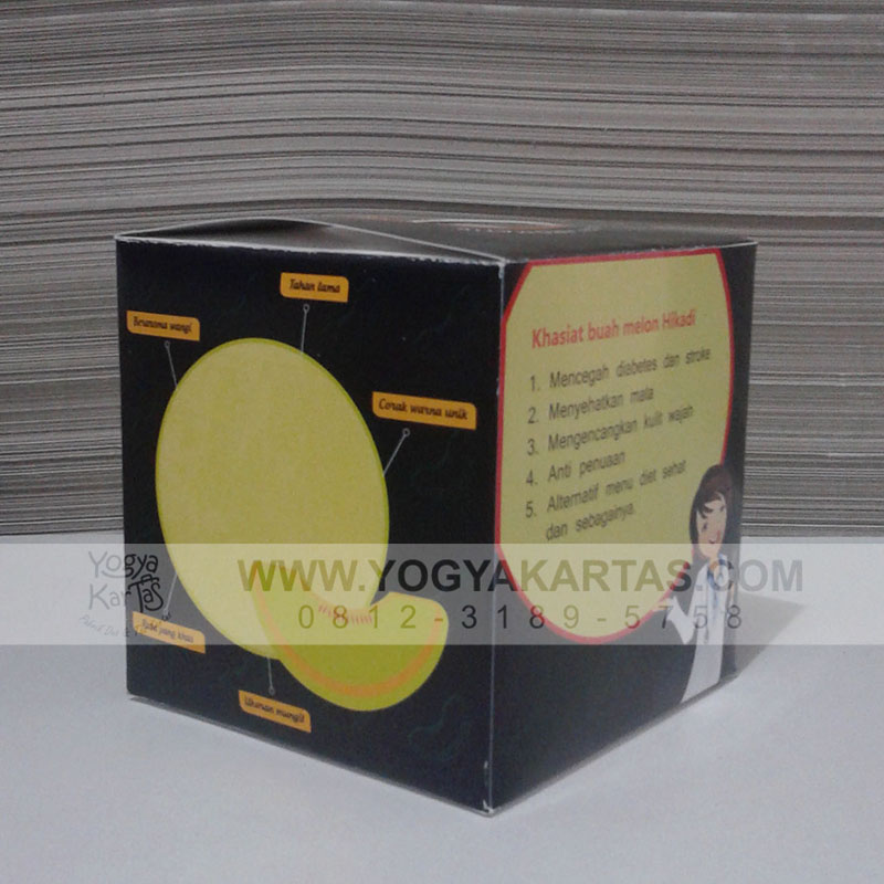 Box Buah Melon UGM